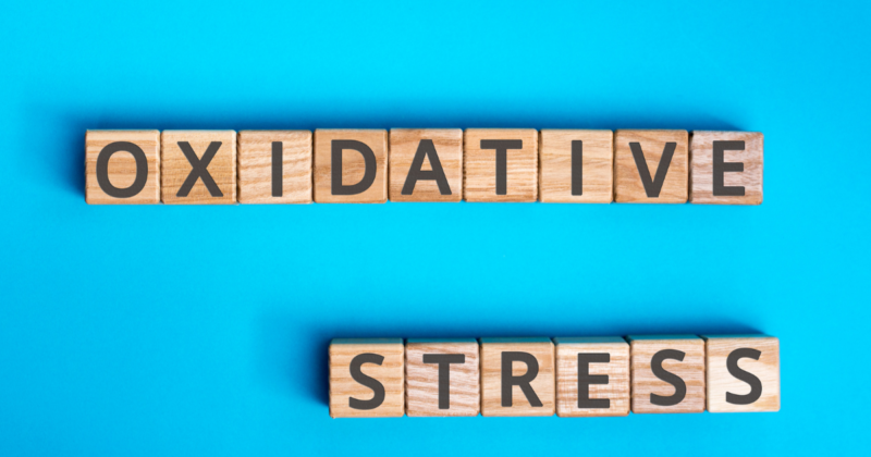 What is Oxidative Stress and How you can Reduce it - Kori Kryotherapy
